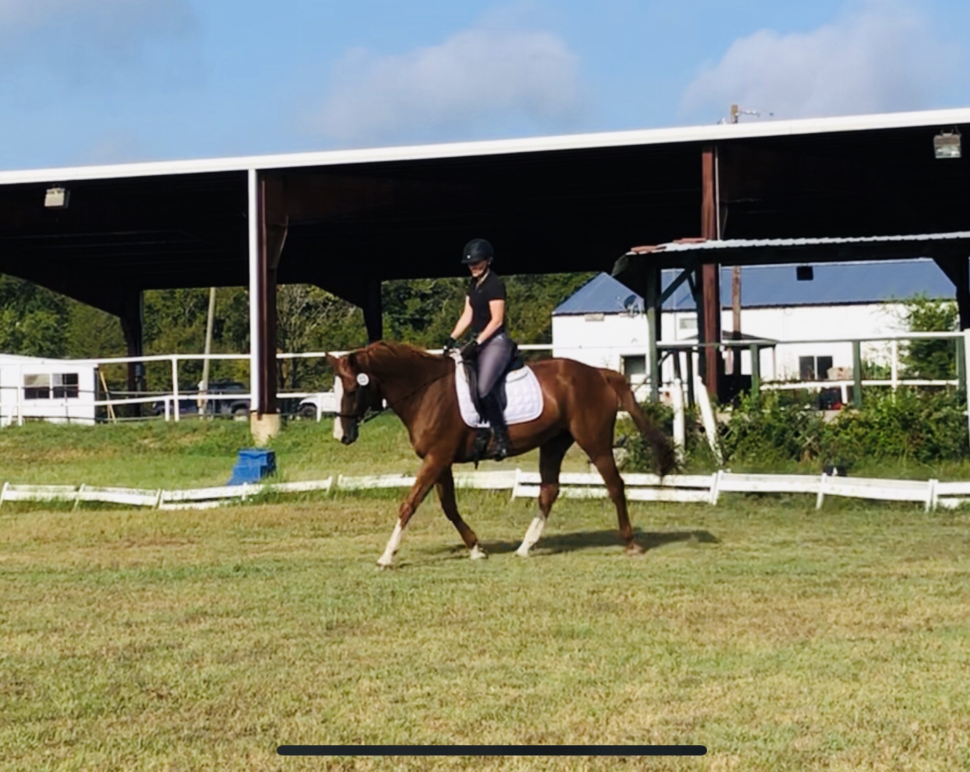August 10th Schooling Show Recap – Brazos Association for Classical ...